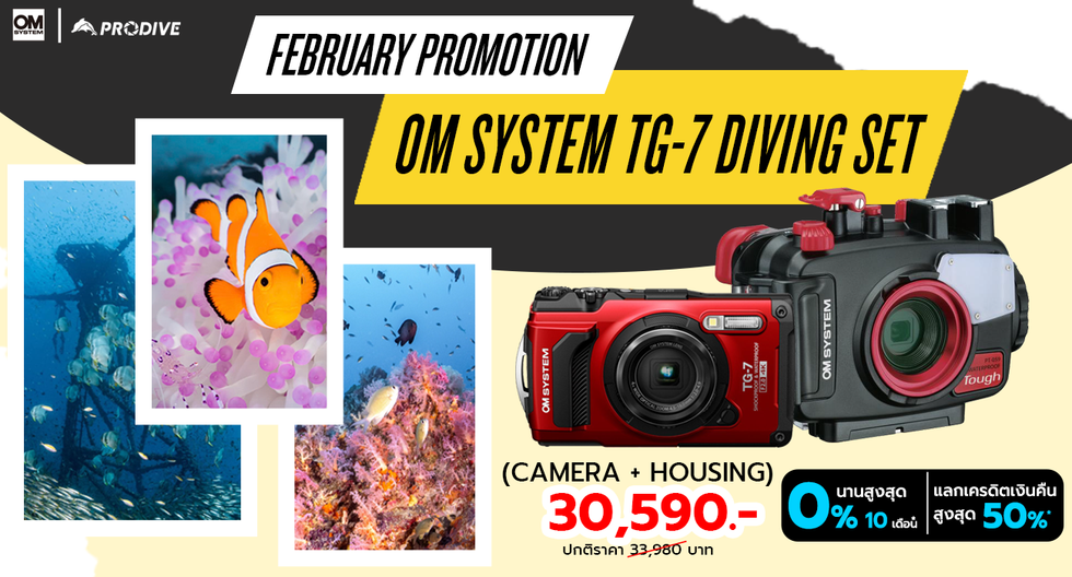 PRODIVE IMAGING | UW IMAGE & DIVING GADGET | OFFICIAL WEBSITE